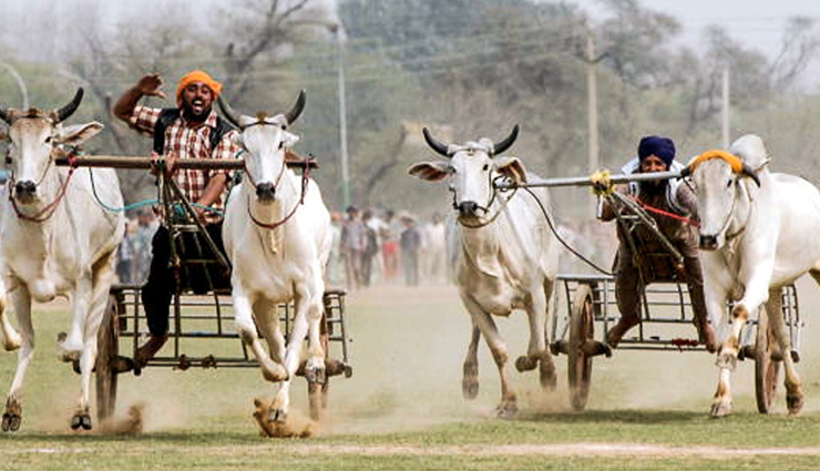 6 Things You Must Do When in Punjab - lifeberrys.com