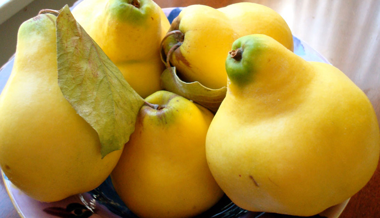 5 Well Known Health Benefits of Quince - lifeberrys.com