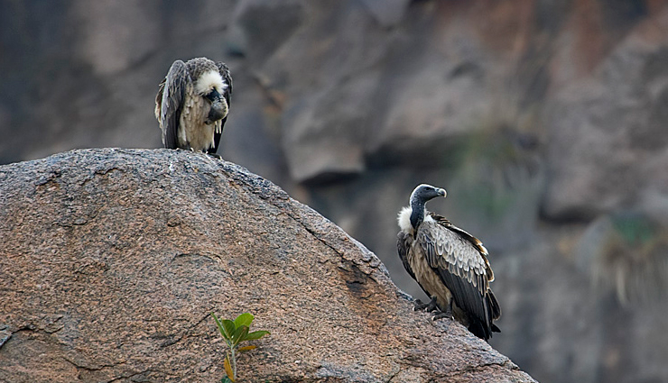 5 Things You Must Do On Your Trip To Ramanagara - lifeberrys.com