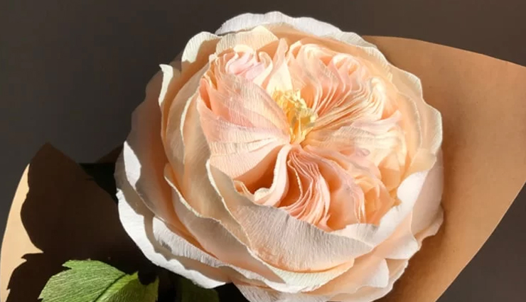 7 Most Beautiful and Enticing Rare Flowers in The World - lifeberrys.com