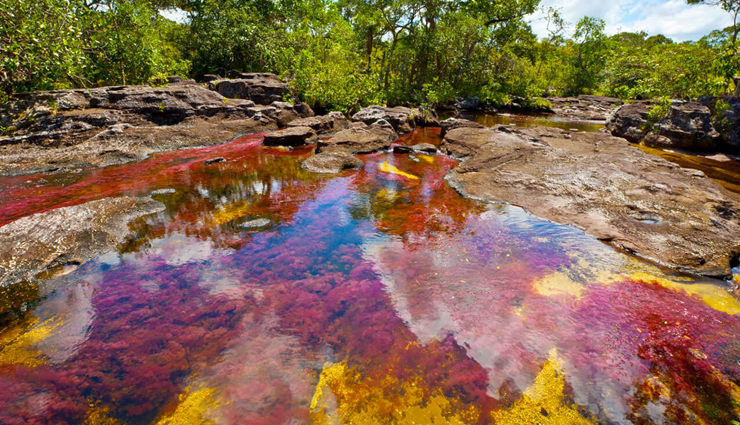 6 Remarkable River in The World - lifeberrys.com