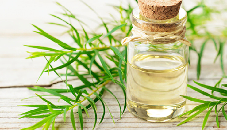 5 Effective Home Remedies To Treat Scabies - lifeberrys.com