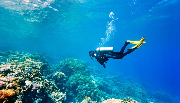5 Places To Enjoy Scuba Diving in India - lifeberrys.com