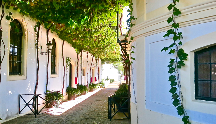 5 Beautiful Side Streets Around The World - lifeberrys.com