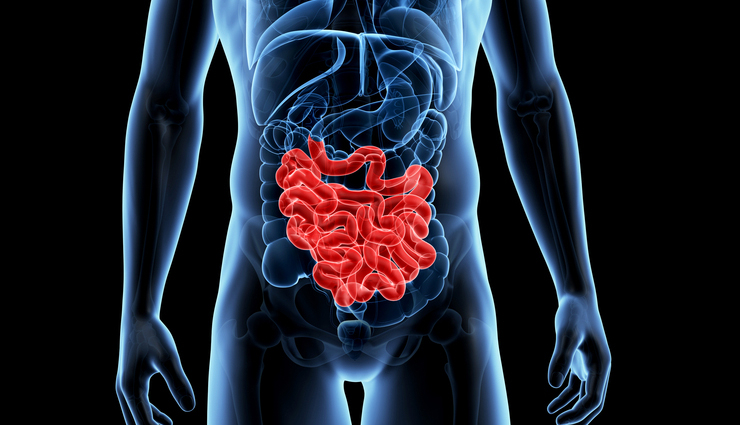 11 Diet Tips For Smoother Bowel Function - lifeberrys.com