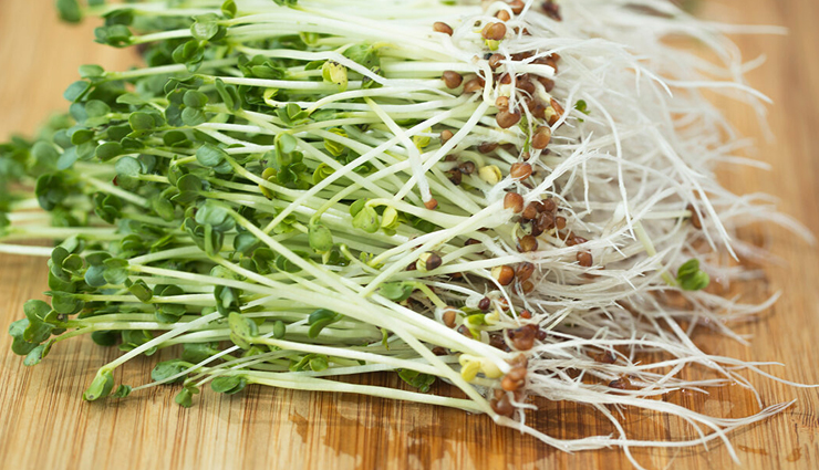 5 Most Amazing Health Benefits of Eating Sprouts - lifeberrys.com