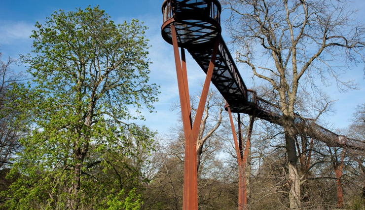 6 Unique Treetop Walkways In The World - lifeberrys.com