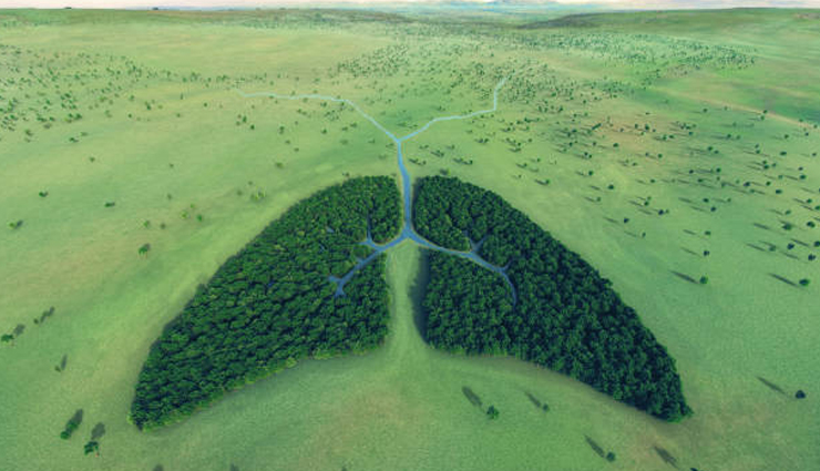 6 Unusual Shaped Islands To Visit Around The World - lifeberrys.com