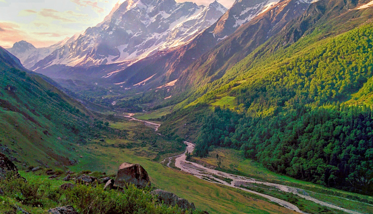 5 Amazing National Park and Wildlife Sanctuaries in Uttarakhand ...