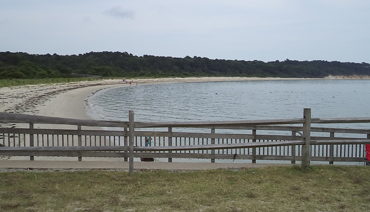 5 Beautiful Beaches To Visit Near Washington, DC - lifeberrys.com