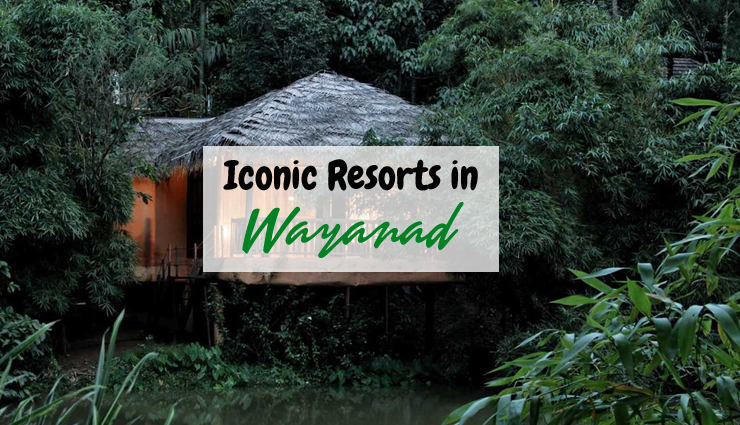5 Iconic Resorts To Visit in Wayanad - lifeberrys.com