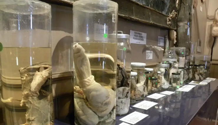 10 Most Weird Museum Around The World That are Worth Your Visit ...