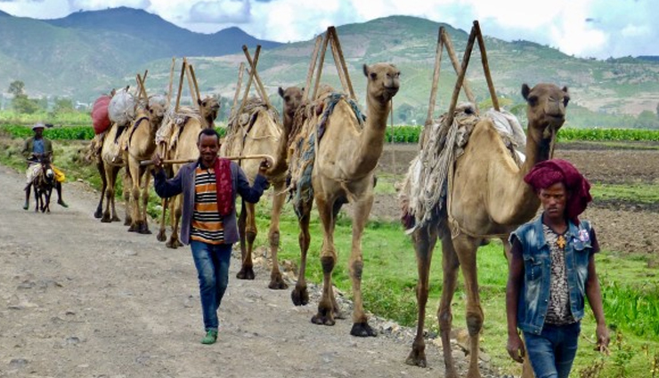 6 Countries That are Without Railroads - lifeberrys.com